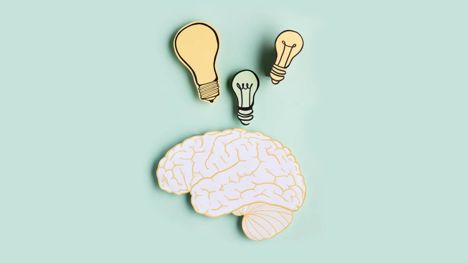 5 Alimentos para melhorar sua capacidade intelectual – Casa Barros